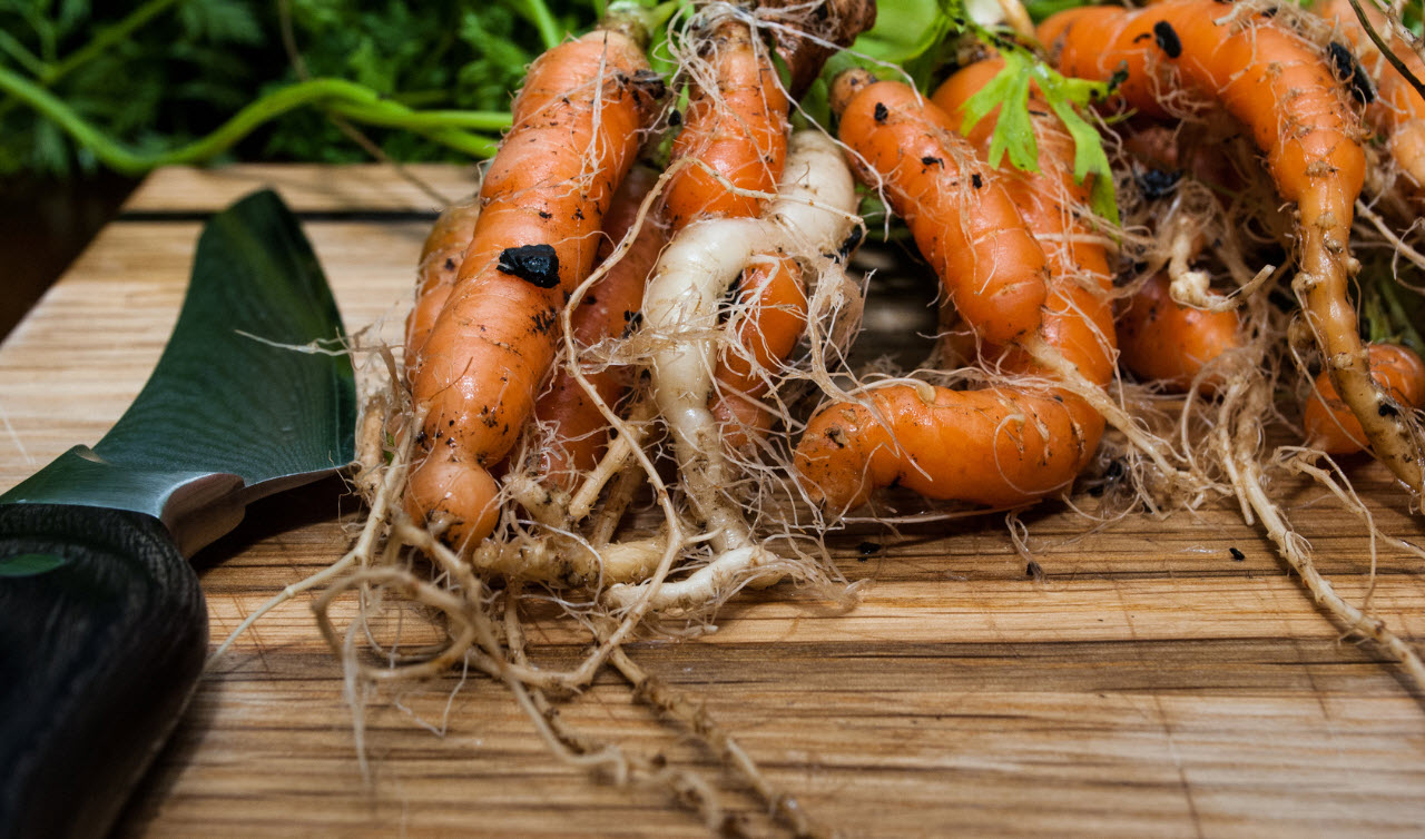 What does PAT certified mean? – Italy Food Roots